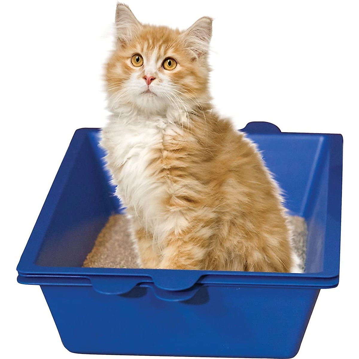 Sift Away Sa-Mc6 Pet Litter, Blue