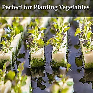 100Pcs Hydroponic Sponge Planting Tool Square Sponges for Greenhouse Hydroponic Sponge