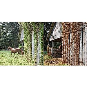 RM43 43-Percent Glyphosate Plus Weed Preventer Total Vegetation Control, 1-Gallon