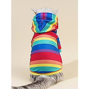 QWINEE Rainbow Colorful Dog Hoodie Sweatshirt Dog Shirt Cat Clothes for Puppy Kitten Small Dogs Multicolor X-Small
