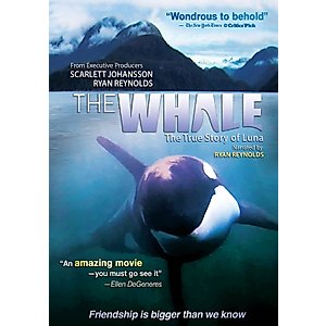 The Whale