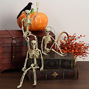 Skeleton Halloween Decoration, 3 Packs 16" Posable Halloween Skeletons, Full Body Posable Joints Skeletons for Halloween Hanging Skeleton Decoration, Haunted House, Graveyard Decorations
