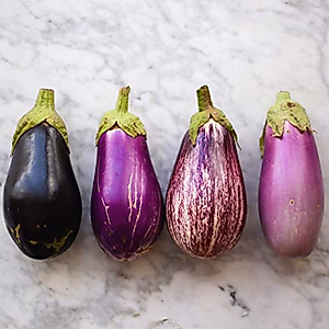 Seeds4planting - Seeds Eggplant Aubergine Long Mix Rare Thai Heirloom Vegetable Non GMO