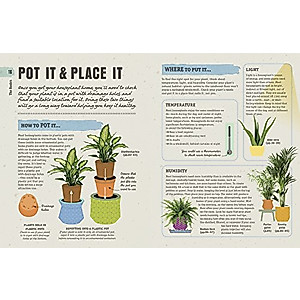 How Not to Kill Your Houseplant: Survival Tips for the Horticulturally Challenged