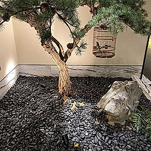 FANTIAN 5lb Natural Polished Black River Rocks - Decorative Black Pebbles for Indoor Plants,Black Stones for Planters, Vase, Crafting, Garden Landscape Rocks and Outdoor Decorative Stones