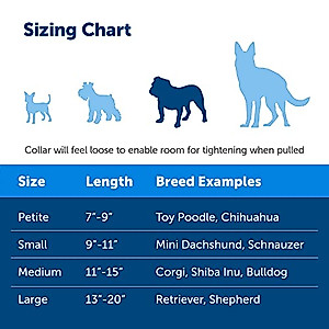 PetSafe Martingale Collar with Quick Snap Buckle, 3/4" Medium, Royal Blue