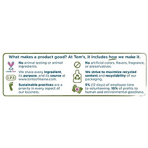 Tom's Of Maine Wicked Cool Mild Mint Kid's Toothpaste Fluoride Free, 4.2 Ounce