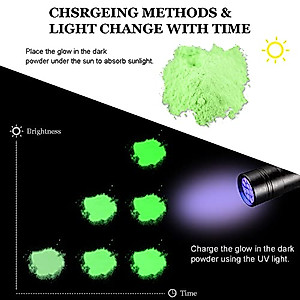 BAIYIYI Glow in The Dark Powder,Pack of 24 Luminous Pigment Powder Night Fluorescent UV Neon Color Changing Pigment Dust for DIY Nail Art Slime Resin Acrylic Paint Ink Non-Toxic