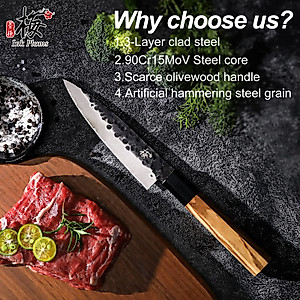 Ink Plums 5.7 Inch Paring Knife For Kitchen,Utility Knife,Sharp High Carbon Stainless Steel Fruit Knife With Olivewood Handle,Handcrafted Peeling Knife, Fruit Knife