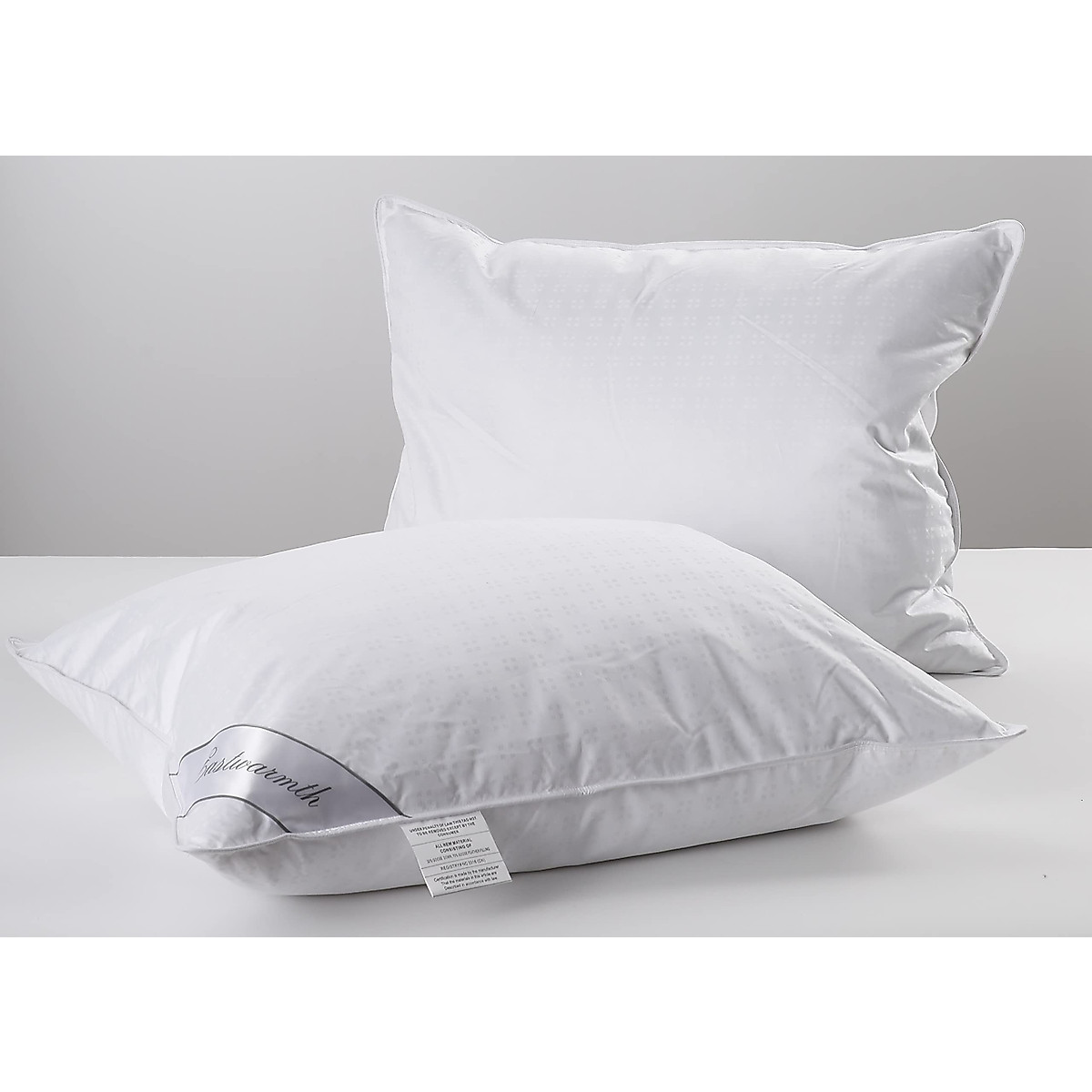 Eastwarmth Natural Goose Down&Feather Pair Pillows Insert, Set of 2 Bedding Soft Pillows 100% Soft Cotton Standard 20x26in