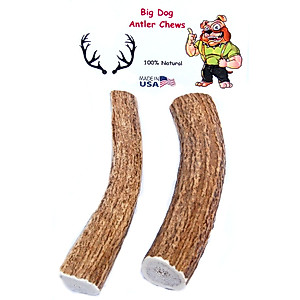 Big Dog Antler Chews - Extra Large 2-Pack Elk Antler Dog Chews, 6 Inches to 10 inches Long, for Medium to Large Dogs and Puppies