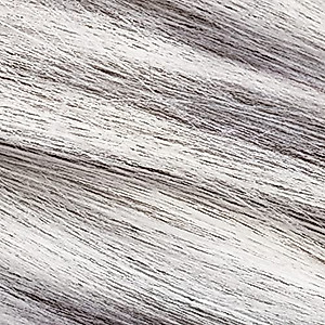 L'Oreal Paris Le Color Gloss One Step In-Shower Toning Hair Gloss, Neutralizes Brass, Conditions & Boosts Shine, Silver, 4 Ounce