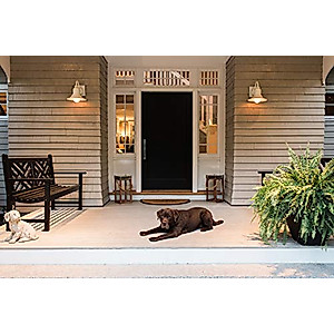 SYLVANIA G25 Globe Décor LED Light Bulb, 60W Equivalent Efficient 5W, 10 Year, Non-Dimmable, 500 Lumens, 2700K, Soft White, Frosted - 2 Pack (40215)