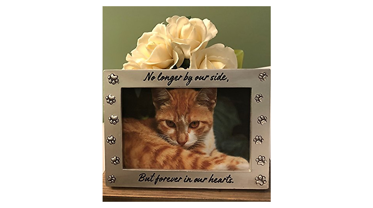 Pet Memorial Picture Frame Keepsake for Healing