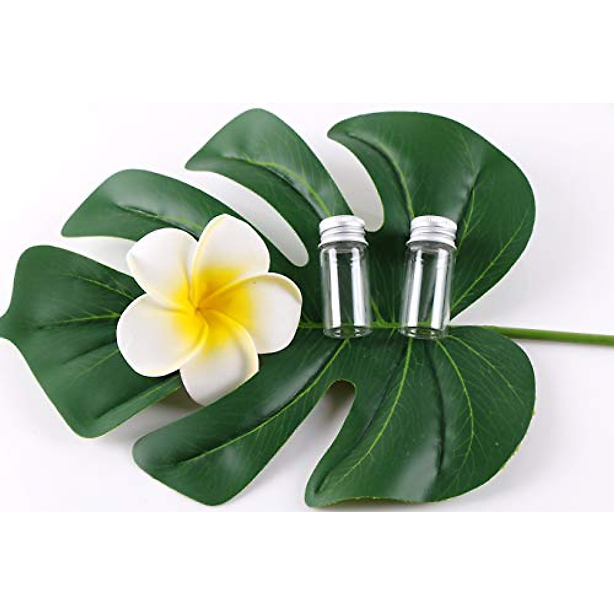 MaxMau 24 Sets 10ml Glass Vials Small Bottles Mini Tiny Jars with Aluminum Screw Caps Sealed Top Metal Lids Cover Clear Message Sample Bottle Storing Beads Wedding Favors Decorations DIY Crafts