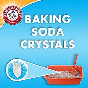 Arm & Hammer Multi-Cat Clumping Litter Unscented, 26.3lb