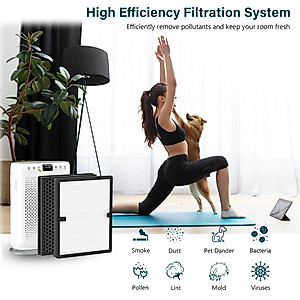 2 Packs E-200 H13 True HEPA Replacement Filter Compatible with LUNINO E-200 Air Cleaner Purifier for Home Large Room up to 1740sq.ft with Extra 4 pcs Aroma Pads