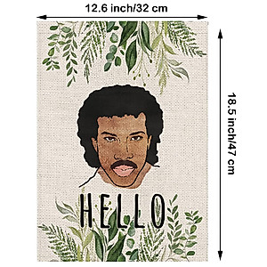 Hello Funny Garden Flag Vertical Double Sized Personalized Flag Seasonal Home Yard Outdoor Decoration 12.5 x 18 Inch