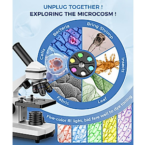 PalliPartners Compound Microscope for Adults & Kids - 100X-2000X High-Power Biological Microscope for Students, School Lab & Home Education, with Slides Set & Phone Adapter (White)