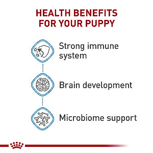 Royal Canin Size Health Nutrition Small Breed Dry Puppy Food, Supports Brain Development, Immune Support, and Digestive Health, 14 lb Bag