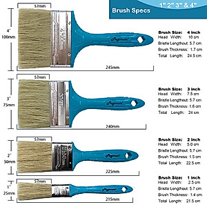 Magimate Stain Brush Set 1-inch 2-inch 3-inch and 4-inch Assortment, Bristle Paint Brush, Natural Bristle Blended with Synthetic, Chip Paint Brush Variety Staining Brushes Pack of Four