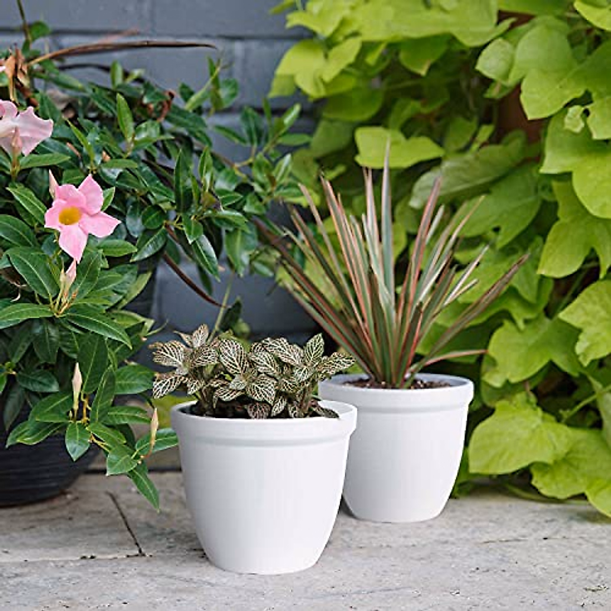 Sierra Concepts Flower Plant Pots for Planters 6 Inch - Set of 6 Plastic Planter Pot Modern Indoor Outdoor for Small Planting, Succulent Plants, Nursery, Orchid, House, Office Décor, Gardening, White