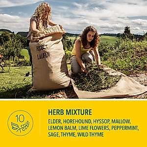 Ricola Berry Medley Bag | Cough Suppressant Throat Drops | Naturally Soothing Long-Lasting Relief - 19 Count (Pack of 1)