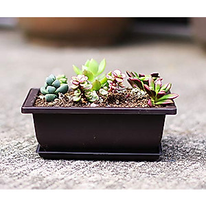 Yesland 24 Pcs Bonsai Training Pots of 6-1/2 Inch - Classic Deep Humidity Trays with Built in Mesh - Plastic Square Pot for Plants, Flowers, Herbs, African Violets & Seed Nursery