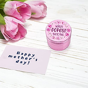 Spice Grinder for Kitchen Use (Pink)