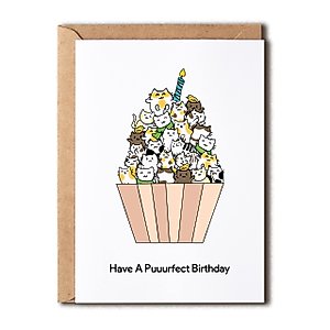 Have A Purrfect Birthday Cat Card - Cute Birthday Card - Birthday Card - Birthday Cake - Birthday Cupcake - Cute Cat Card - Funny Birthday Card