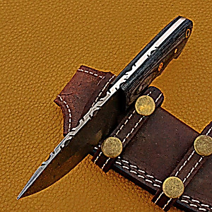 Smart & Sharp Custom Handmade Damascus Steel Hunting Knife Skinning Knife SS-17411 ( Black Wood ) (Black)