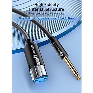 ANNNWZZD XLR to 1/4, TRS to XLR Cable, XLR Female to 1/4 for Guitar, Mixer, Speaker, Playing Live 3FT/1M