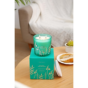 Eucalyptus Pine Clove Balsam Candle 3 Wick - Christmas Tree Scented Candle - Natural Soy Candle for Home Scented 14.5 Oz - Winter Holiday Candle Gift, Aromatherapy Stress Relief Candle for Women & Men