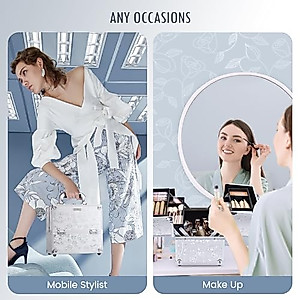 FRENESSA Makeup Train Case Portable Cosmetic Box Organizer 4 Trays Aluminum Makeup Case Storage with Divider Lockable for Makeup Artist, Crafter, Makeup Tools Elagant Silver Rose