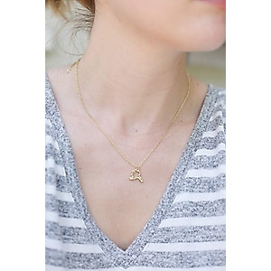 Lucky Feather Texas Shaped State Necklace, 14K Gold-Dipped Pendant on Adjustable 16”-18” Chain