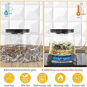 COPOTEA Glass Teapot with Removable Infuser, Tea Pot 1000ml/33OZ Stovetop Safe Tea Kettle for Blooming Tea & Loose Leaf Tea, Premium Tea Maker with Gift Box