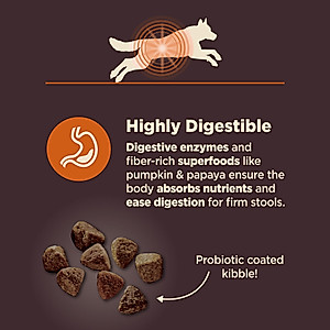 Wellness CORE Digestive Health Dry Dog Food with Wholesome Grains, Highly Digestible, for Dogs with Sensitive Stomachs, Made in USA with Real Chicken (Adult, 4-Pound Bag)