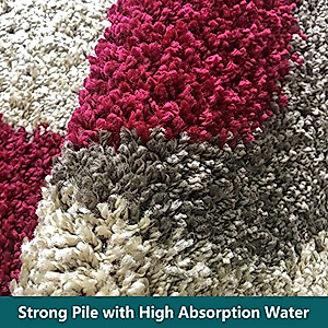 Heeneeso F21 Entryway Rug Welcome Mat Front Door Mats for Inside Entry Indoor Door Mat Machine Washable Non Slip for Doorway/Kitchen/Bathroom/Laundry Room