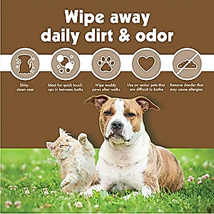 Petkin Pet Wipes for Dogs and Cats, 200 Wipes (Large) – Oatmeal Pet Wipes for Dogs and Cats – Soothes Itchy Dry Skin and Cleans Ears, Face, Butt, Body and Eye Area – 2 Packs of 100 Wipes