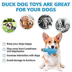 Alphatool Squeaky Dog Toys, Duck Dog Toys for Aggressive Chewer, Tough Plush Dog Toys for Large Dogs, Crinkle Interactive Puppy Dog Toys for Small Medium Dogs (3pcs)