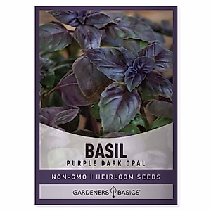 Basil Seeds for Planting Herbs Purple - (Purple Dark Opal) Heirloom Non-GMO Herb Plant Seeds for Home Herb Garden Indoors, Outdoors, and Hydroponics by Gardeners Basics