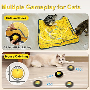 Muhhiba Interactive Cat Toys for Indoor Cats, Electric Cat Ball Fast Rolling in Pouch, Motion Activated Chirping Cat Toy, Hide and Seek Cat Toy with LED Light