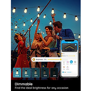 Govee Outdoor String Lights, 48ft Smart Outdoor String Lights with 15 Dimmable Warm White LED Bulbs, IP65 Waterproof Shatterproof Patio Lights for Dating, Party, Wedding, 70lm per Bulb