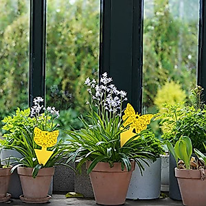 Dawhunt 96 Pack Yellow Sticky Traps for Gnats Fungus Fruit Fly Traps for Indoors Bug Thrip Catcher for Whitefly,Fungus Gnat,Mosquito and White Flying Insects