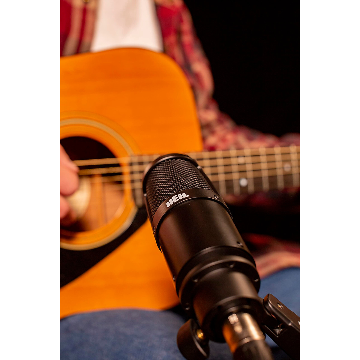 Heil PR 30 Dynamic XLR-Microphone for Video Podcast, Live Sound, Instrumentals, Recording, and Broadcast, Wide Frequency Response, Smooth Sound, Superior Rear Noise Rejection - Black