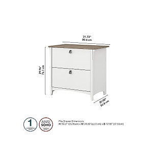 Bush Furniture Salinas 2 Drawer Lateral File Cabinet in Pure White and Shiplap Gray