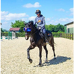 eVysor UV Protection Horse Riding Goggles by eQuick-it - MIrrored Blue Lenses