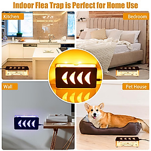 2 Pack Flea Traps for Inside Your Home, Flea Trap with Adjustable Light Modes & 4 Flying Insect Trap Sticky Refill Discs, Pest Trapper for Fleas, Flies, Mosquitoes