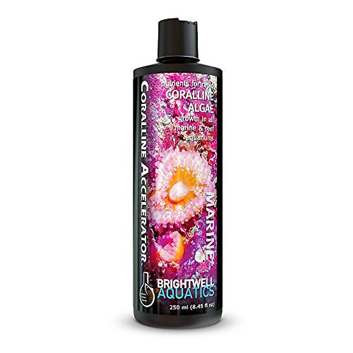 Brightwell Aquatics Coralline Accelerator - Multi-Nutrient Supplement for Coralline Algae Growth in Marine and Reef Aquariums, 250 ml