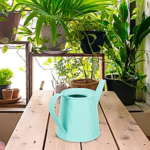 Happyyami Succulent Kettle Flowerpot Flowers Decoration Metal Pitcher Kids Mini Toys Flower Water Pot Mini Watering Can Small Watering Can Kettle for Watering Gardening Tool Kids Toy Plant